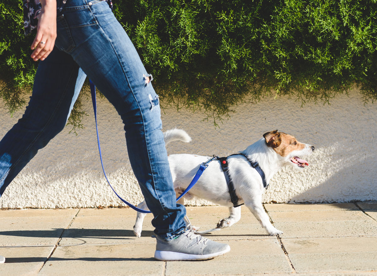 Over 60? These 5 Walking Tips Will Help You Lose Weight — Eat This Not That
