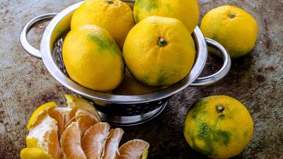 Side Effects of Eating Expired Foods — Eat This Not That