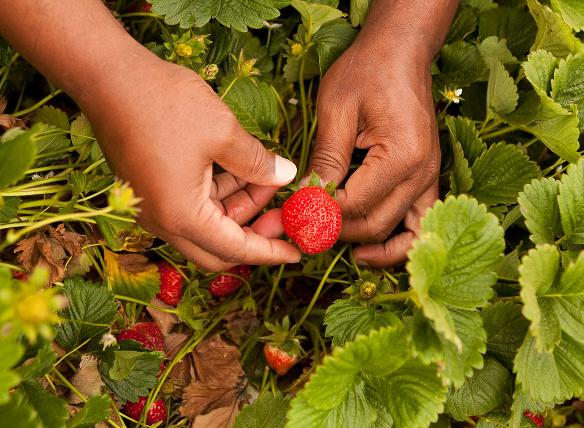 11 Science-Backed Benefits of Eating Strawberries