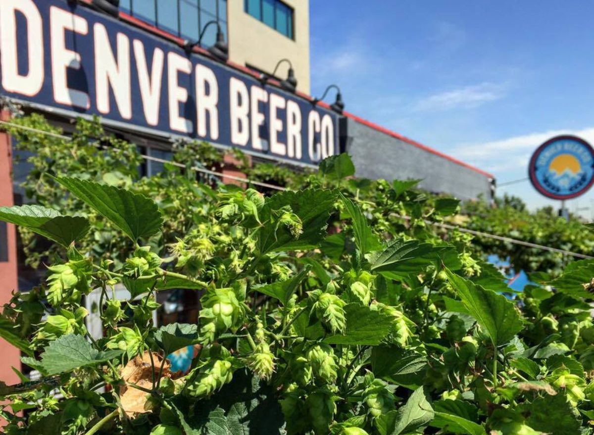 The Most Popular Beer in Every State — Eat This Not That