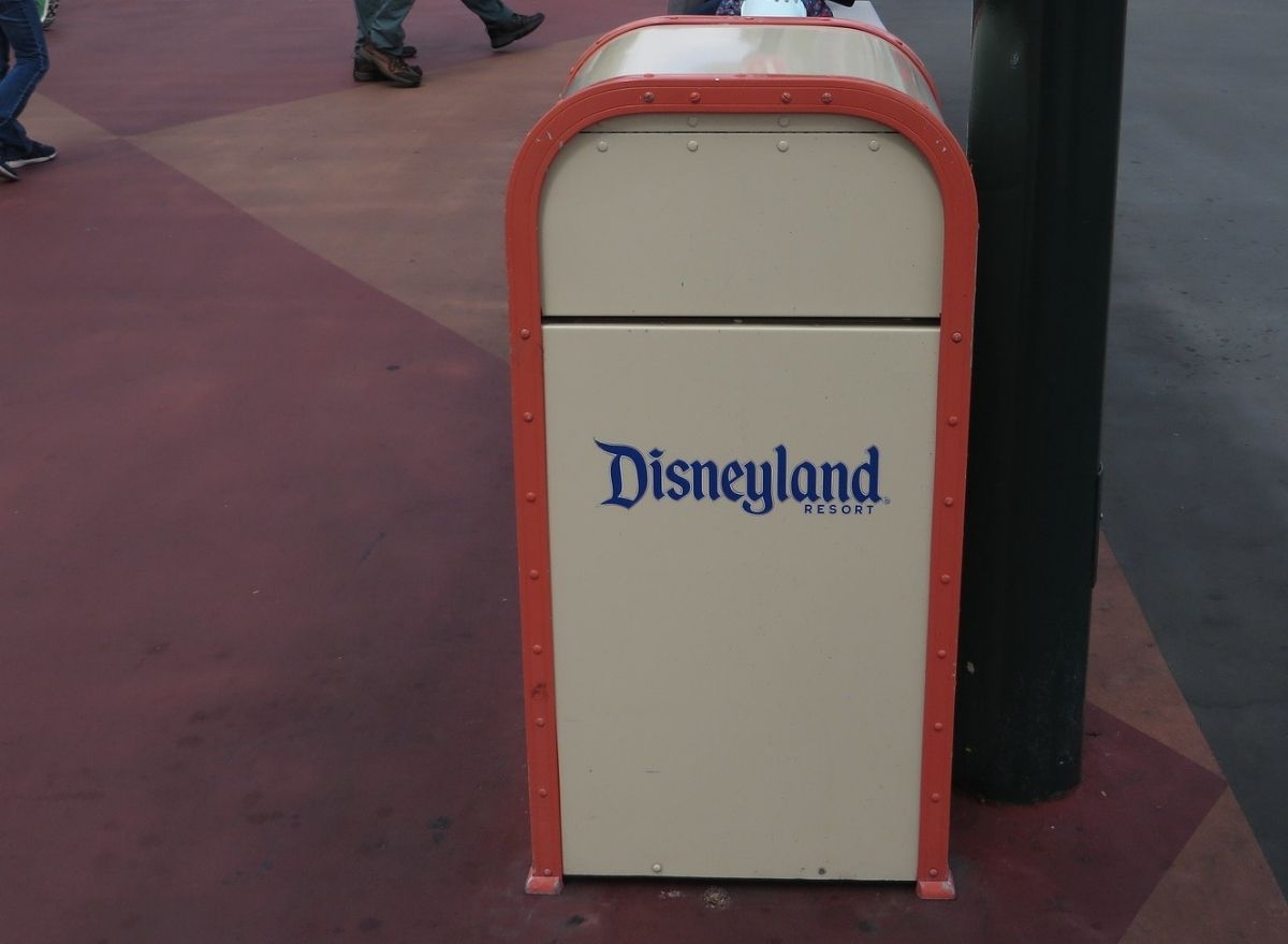 7 Strict Rules Disney Food Workers Have to Follow — Eat This Not That