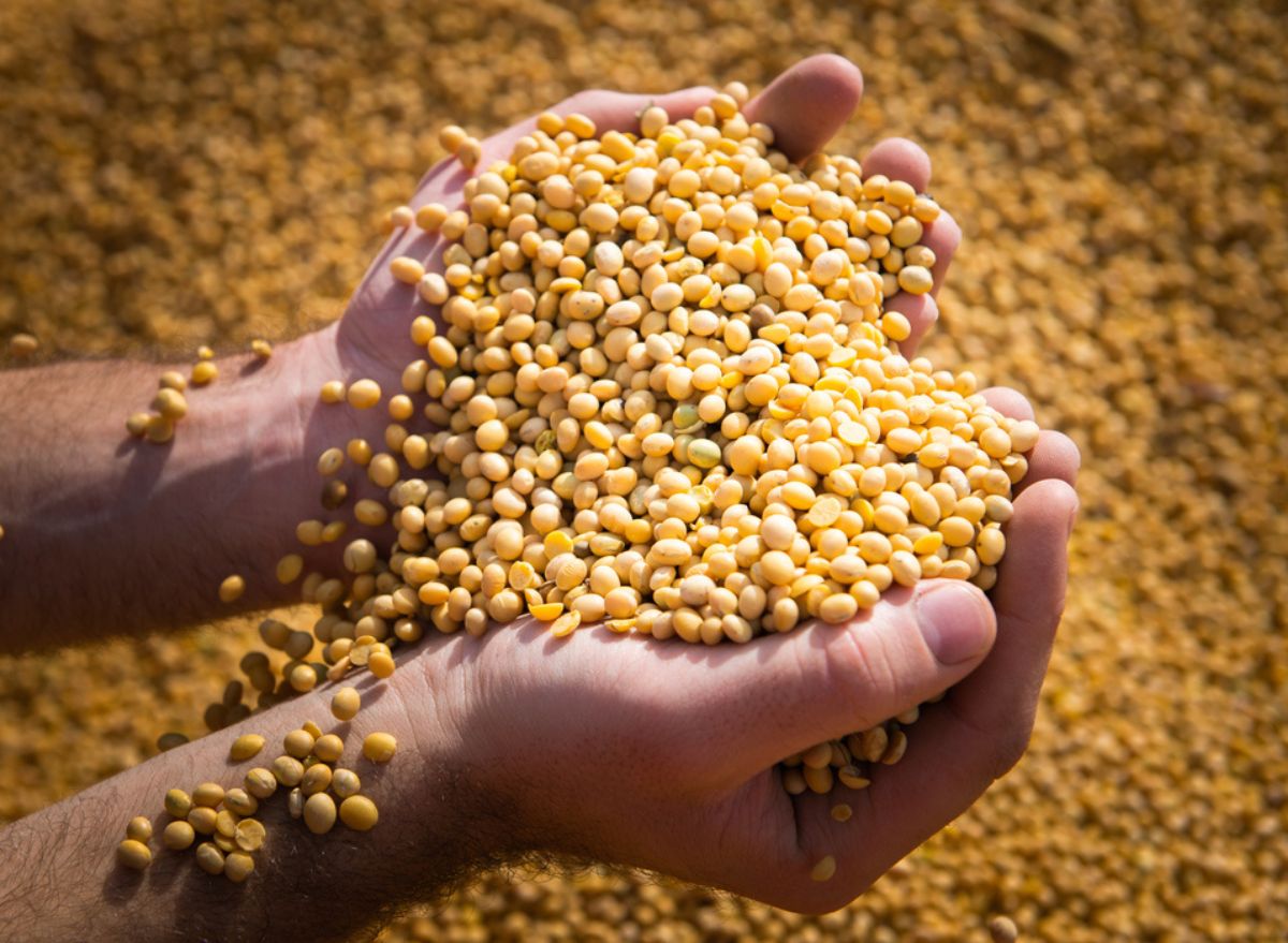 5 Surprising Effects of Eating Soy, Say Dietitians — Eat This Not That