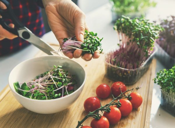 Amazing Benefits of Eating Microgreens