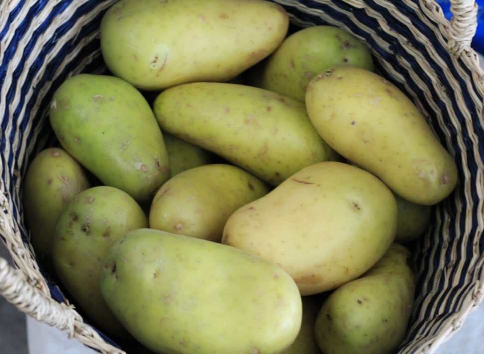 Is It Safe to Eat Green Potatoes? — Eat This Not That