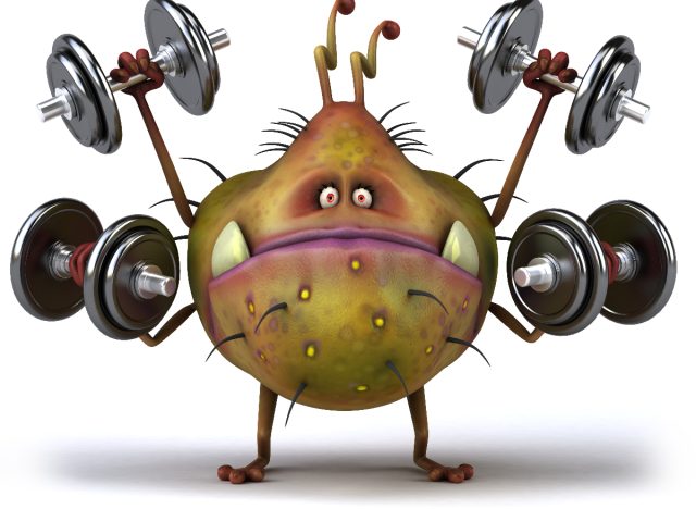 Sorry, But Your Gym is Crawling with Germs & Bacteria - Internewscast ...