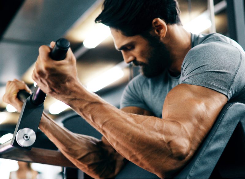 How To Build Muscle: Your Ultimate Guide to Getting Shredded