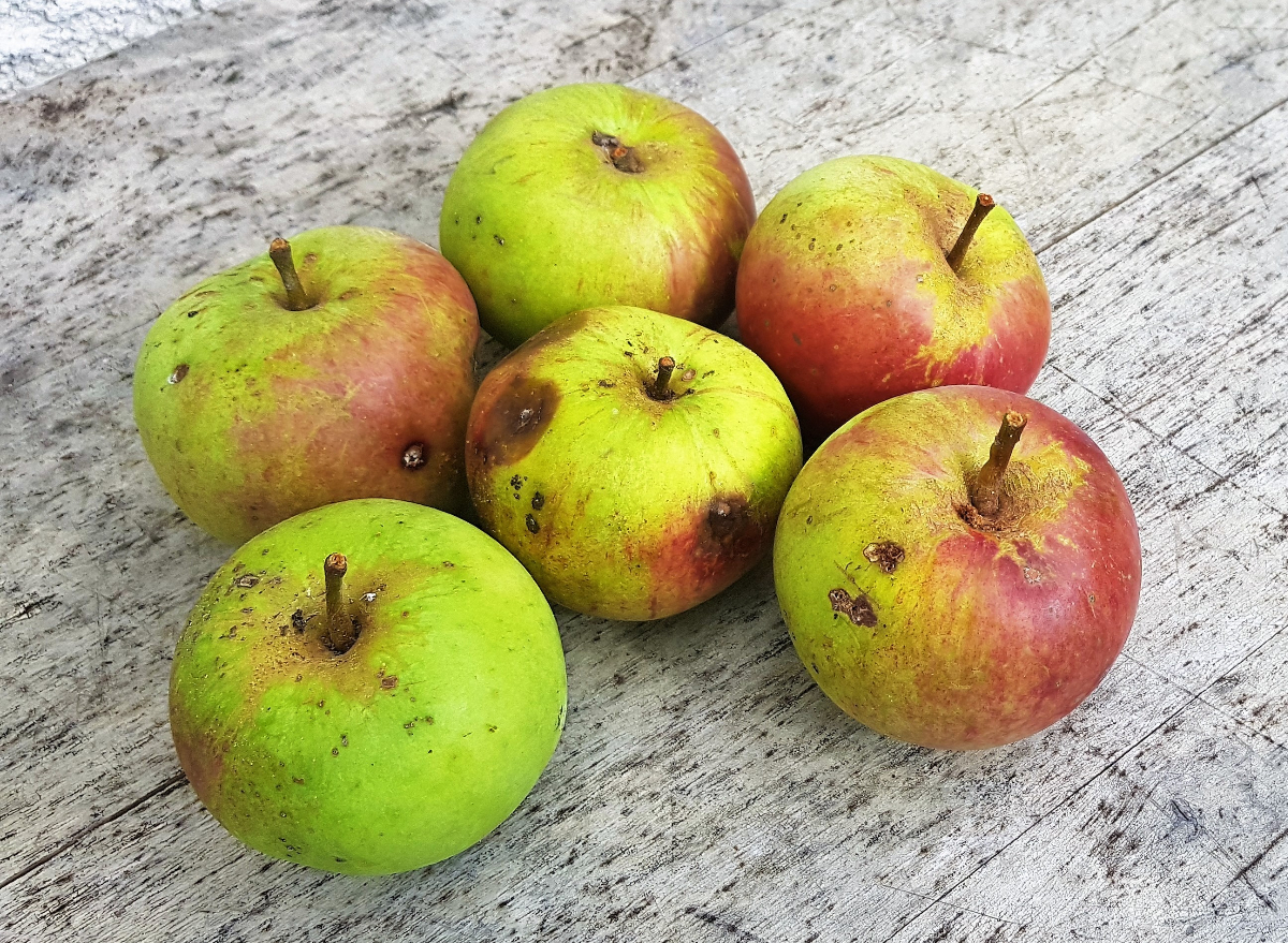 7 Groceries You Should Never Buy On Sale