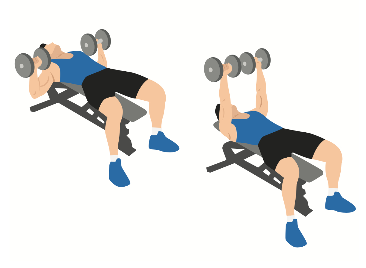 10 Simple Dumbbell Exercises To Build Strength All Over