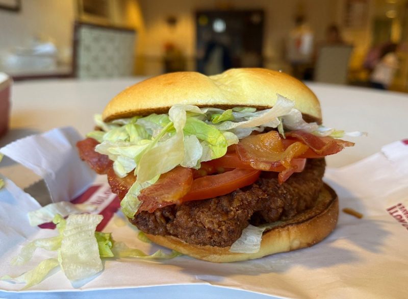 10 Tastiest New Fast Foods We've Tried In 2023