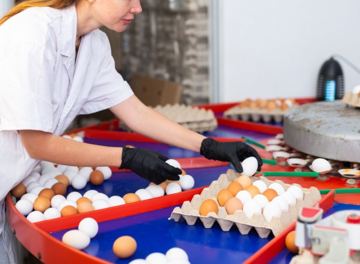 How to Choose the Best Eggs at the Grocery Store