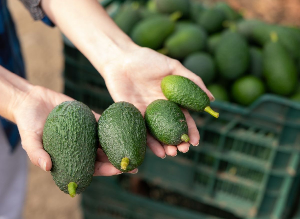 How to Choose the Best Avocado at the Grocery Store