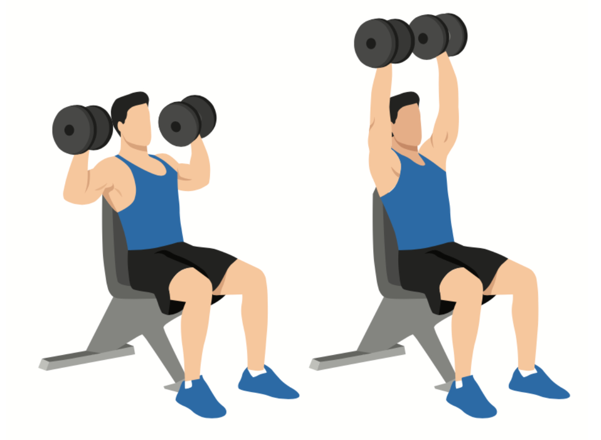 5 Best Upper-Body Workouts for Men To Build Muscular Shoulders — Eat ...