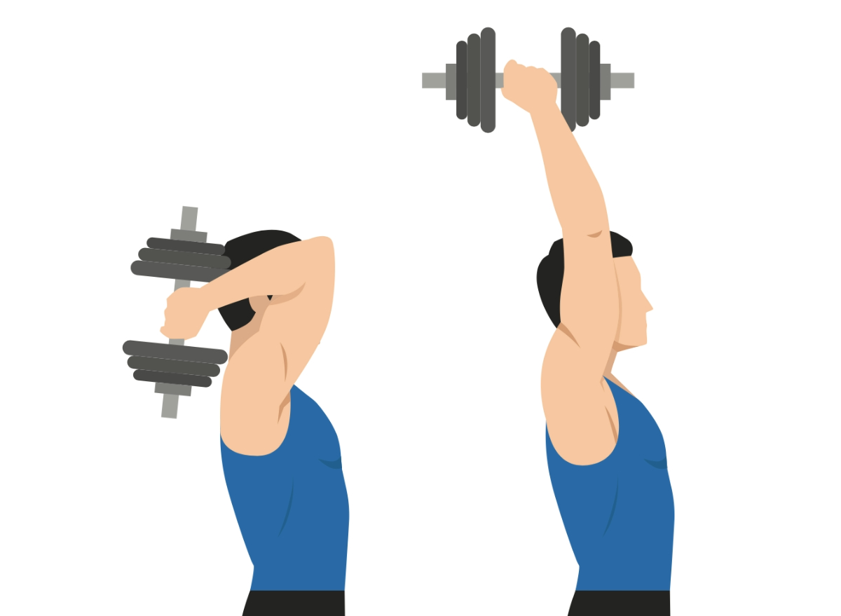 Master These 5 Arm Workouts for Sculpted Biceps & Triceps