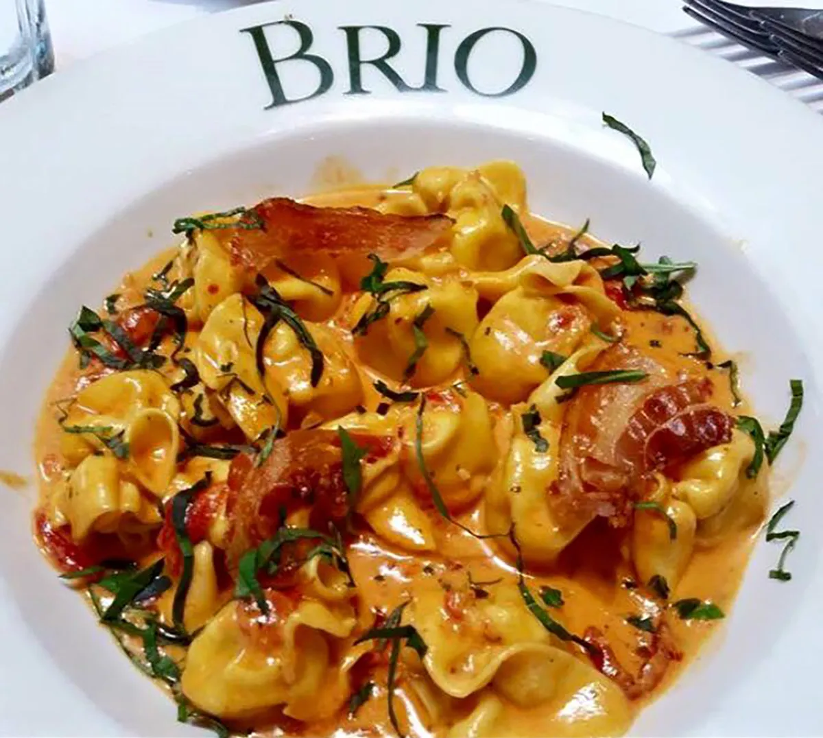 9 Restaurant Chains That Serve the Best Vodka Sauce Pastas