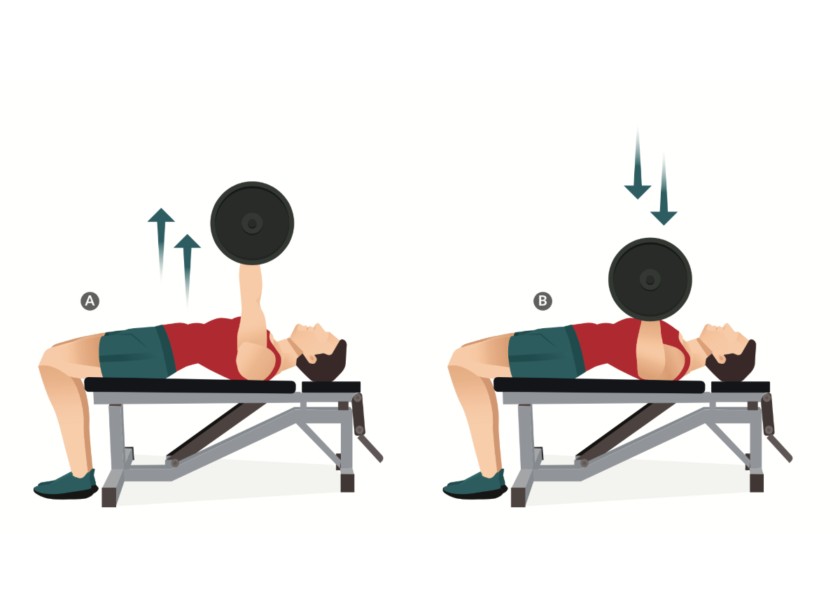The 1 Best Bench Press Workout To Increase Strength Muscle The 1 Best Bench Press Workout To Increase Strength Muscle