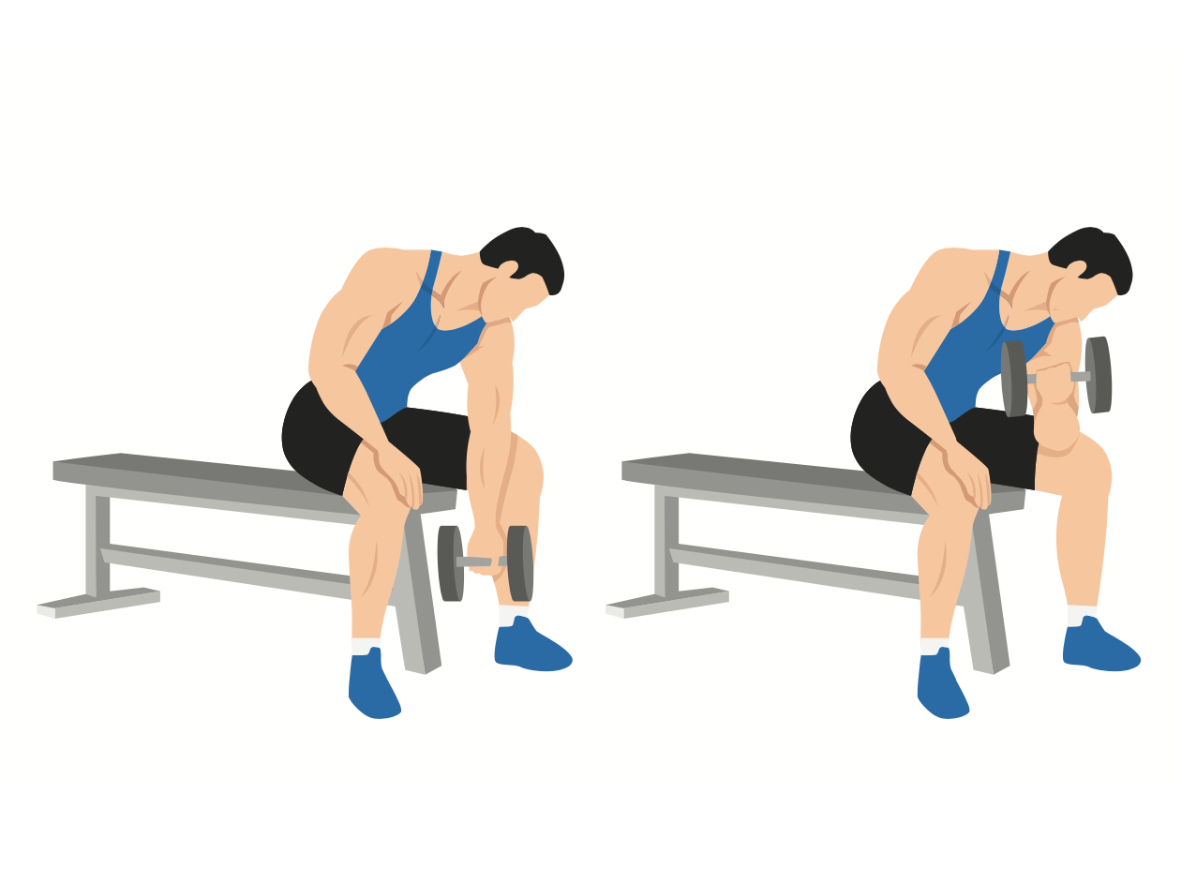 Master These 5 Arm Workouts for Sculpted Biceps & Triceps