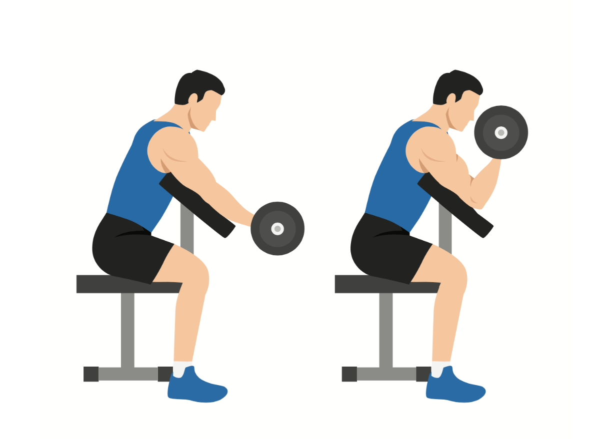 11 Best 'Arm Day' Exercises, According to a Trainer