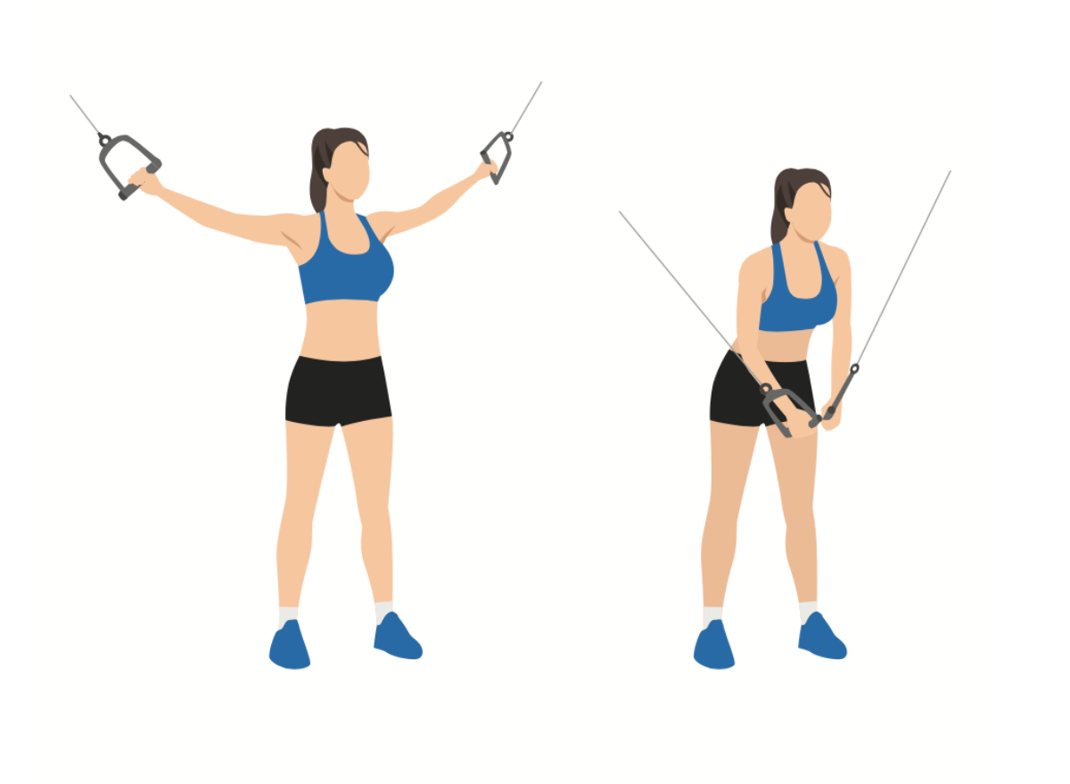 10 Best Muscle-Building Machines at the Gym