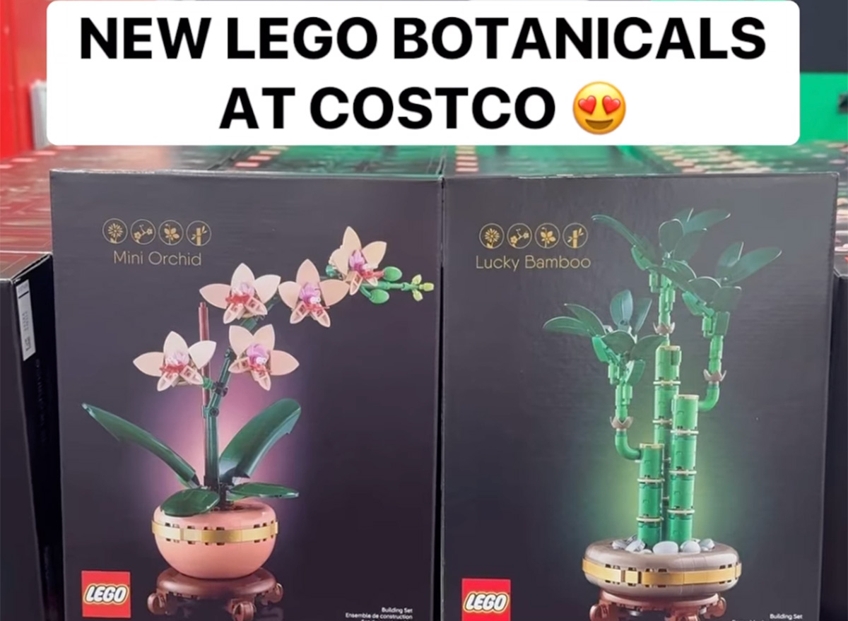 Costco Shoppers Are Obsessed With These 7 Must-Have New Finds