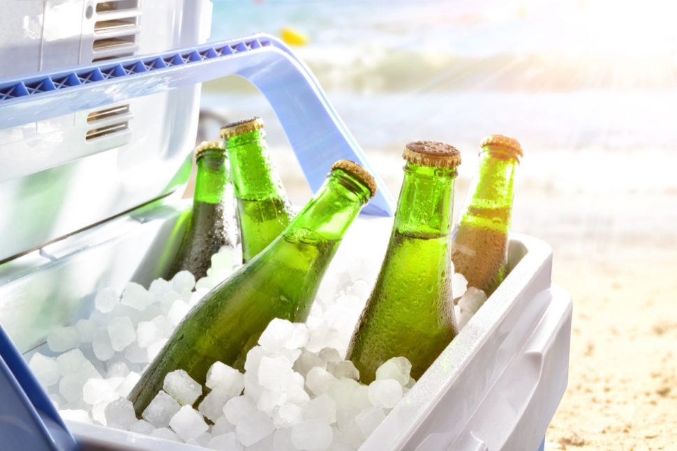 Igloo Cooler Recall Hits Costco and Target Over Serious Injury Risk
