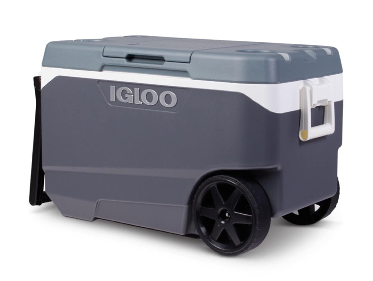 Igloo Cooler Recall Hits Costco and Target Over Serious Injury Risk