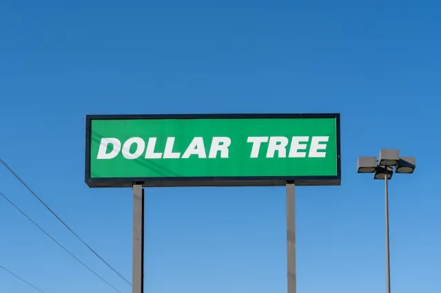 7 Dollar Tree Products That Shoppers Say Are the Best Steals This Month