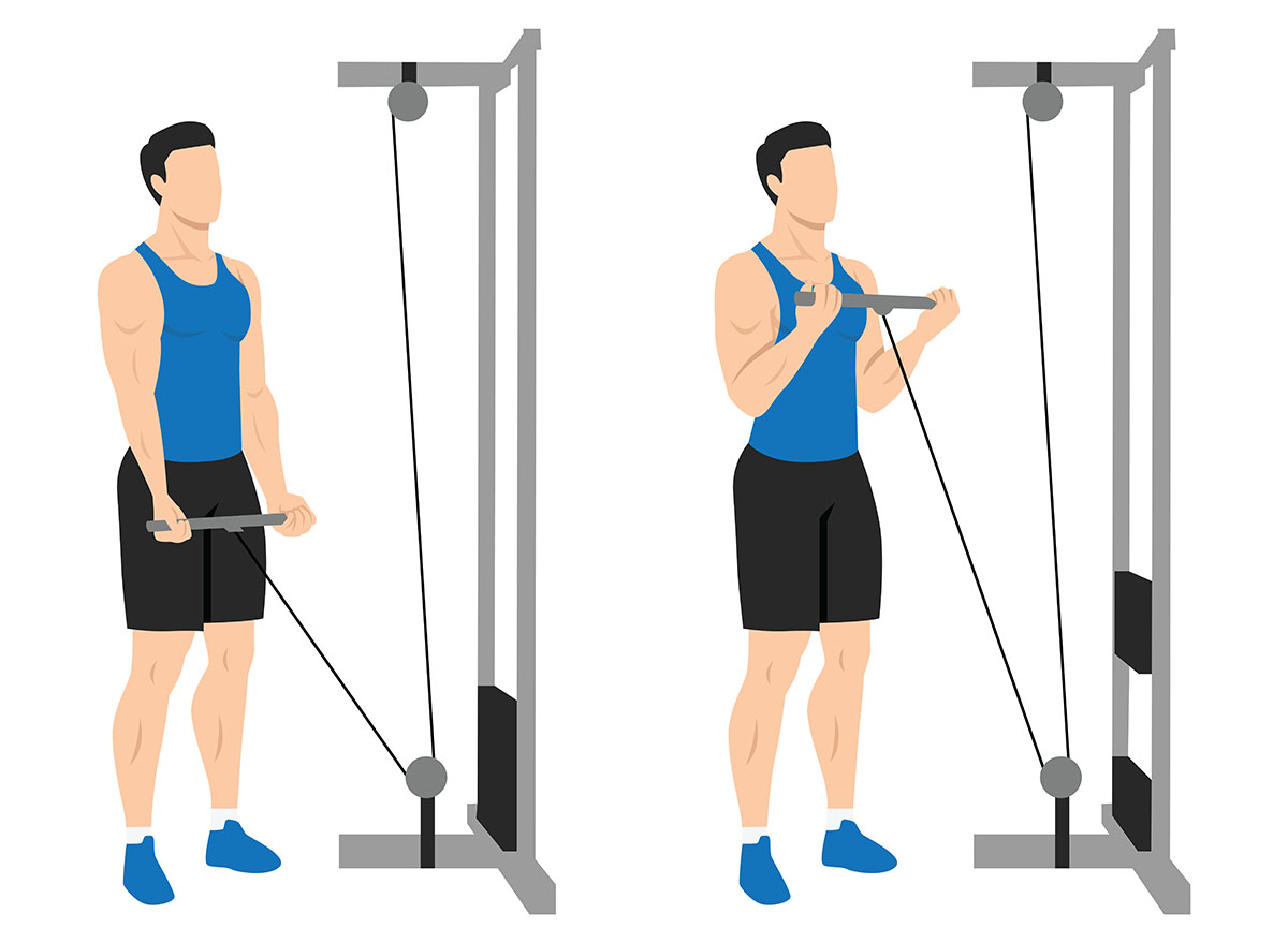 9 Best Workouts for Men Over 50 To Build Muscle