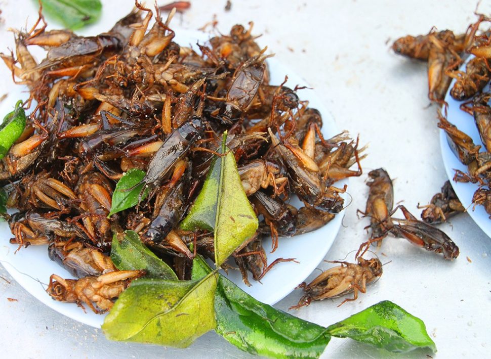 You Are Eating Bugs Without Even Knowing It | Eat This Not That