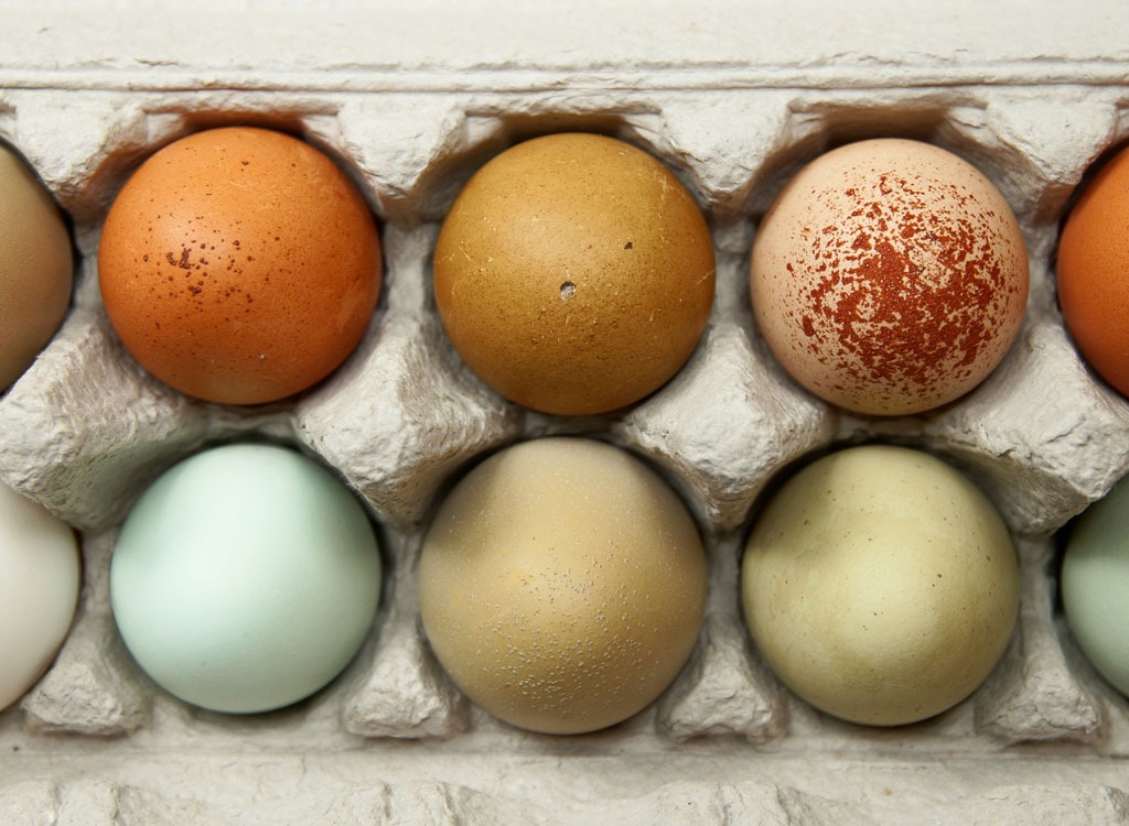 20 Shocking Secrets And Facts About Eggs | Eat This Not That