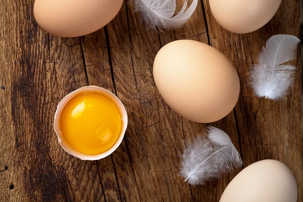 20 Shocking Secrets And Facts About Eggs | Eat This Not That