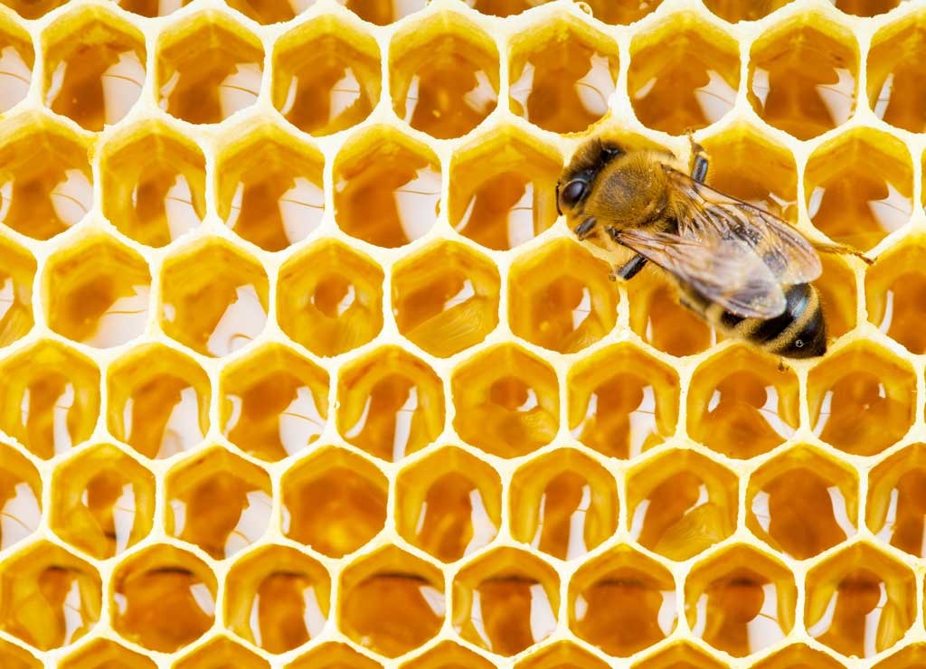 Gwyneth Paltrow's Top 10 Beauty Tips | Eat This Not That